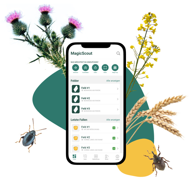 Gelbfangschale im Raps: Im Feld sein, ohne im Feld zu sein | Bayer CropScience Deutschland GmbH
